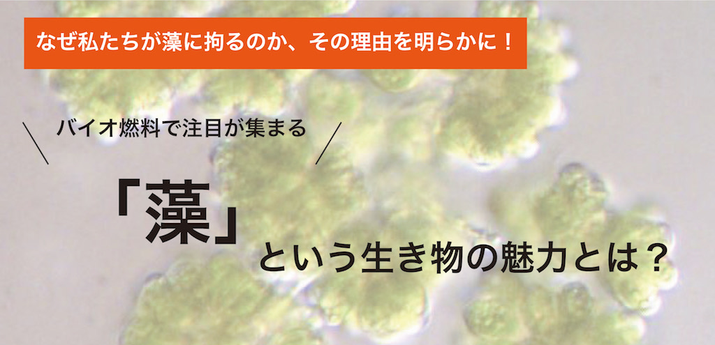 バイオ燃料で注目が集まる、「藻」という生き物の魅力とは？ Modia 藻ディア
